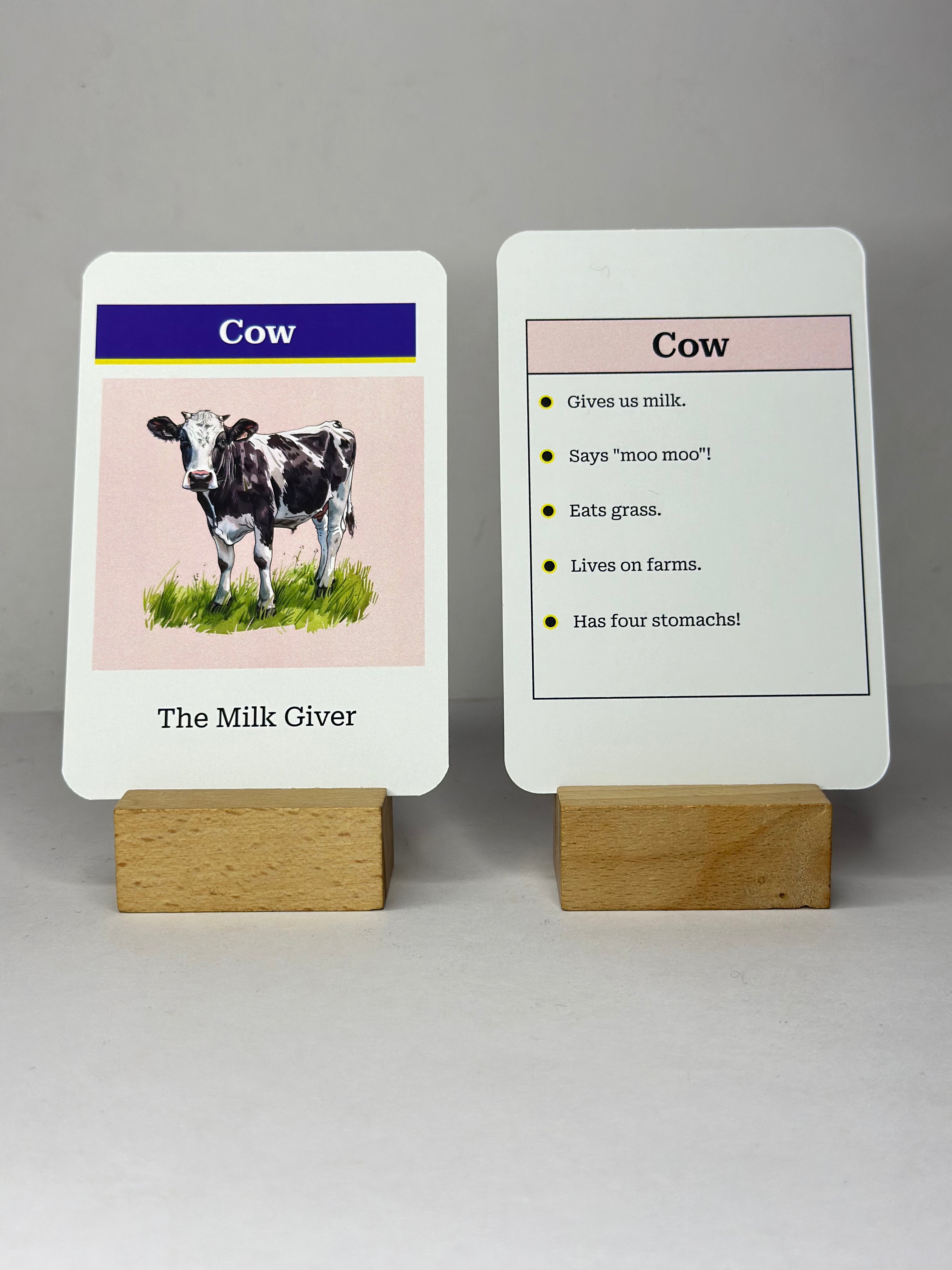 Animals Flashcards – Kapier